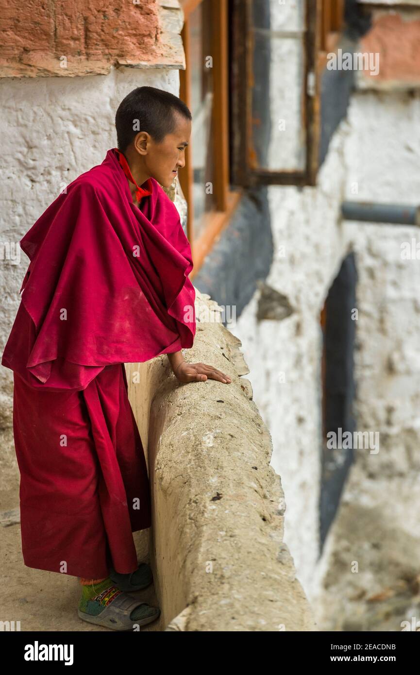 the Phuktal Gompa monastery Stock Photo - Alamy