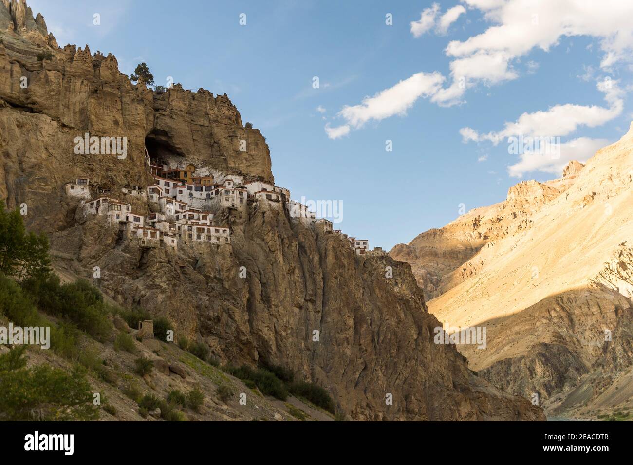 the Phuktal Gompa monastery Stock Photo - Alamy