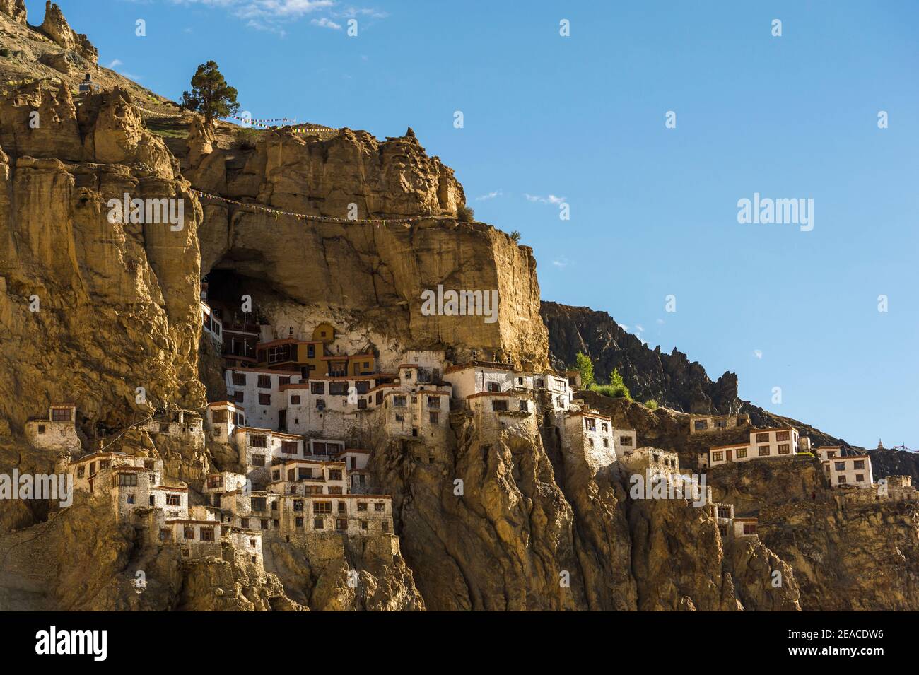 the Phuktal Gompa monastery Stock Photo - Alamy