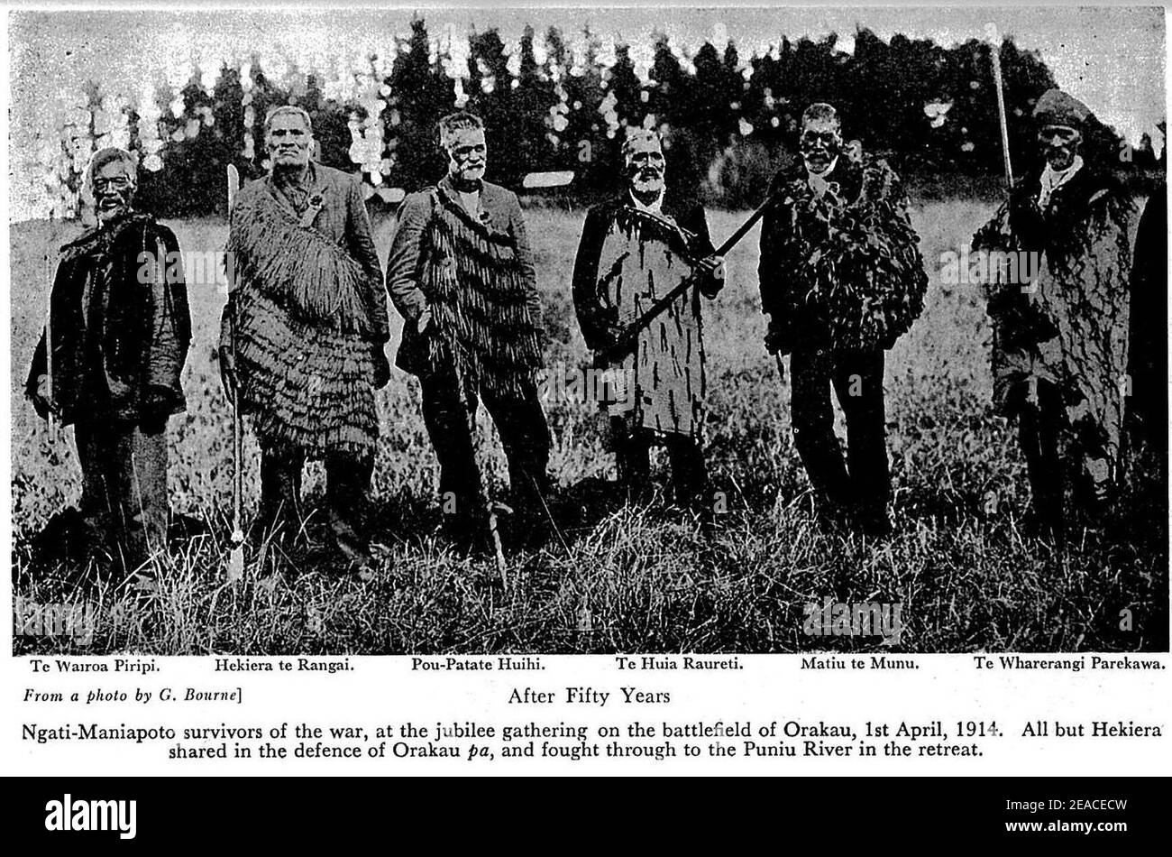 Ngati maniapoto survivors of the war Stock Photo - Alamy