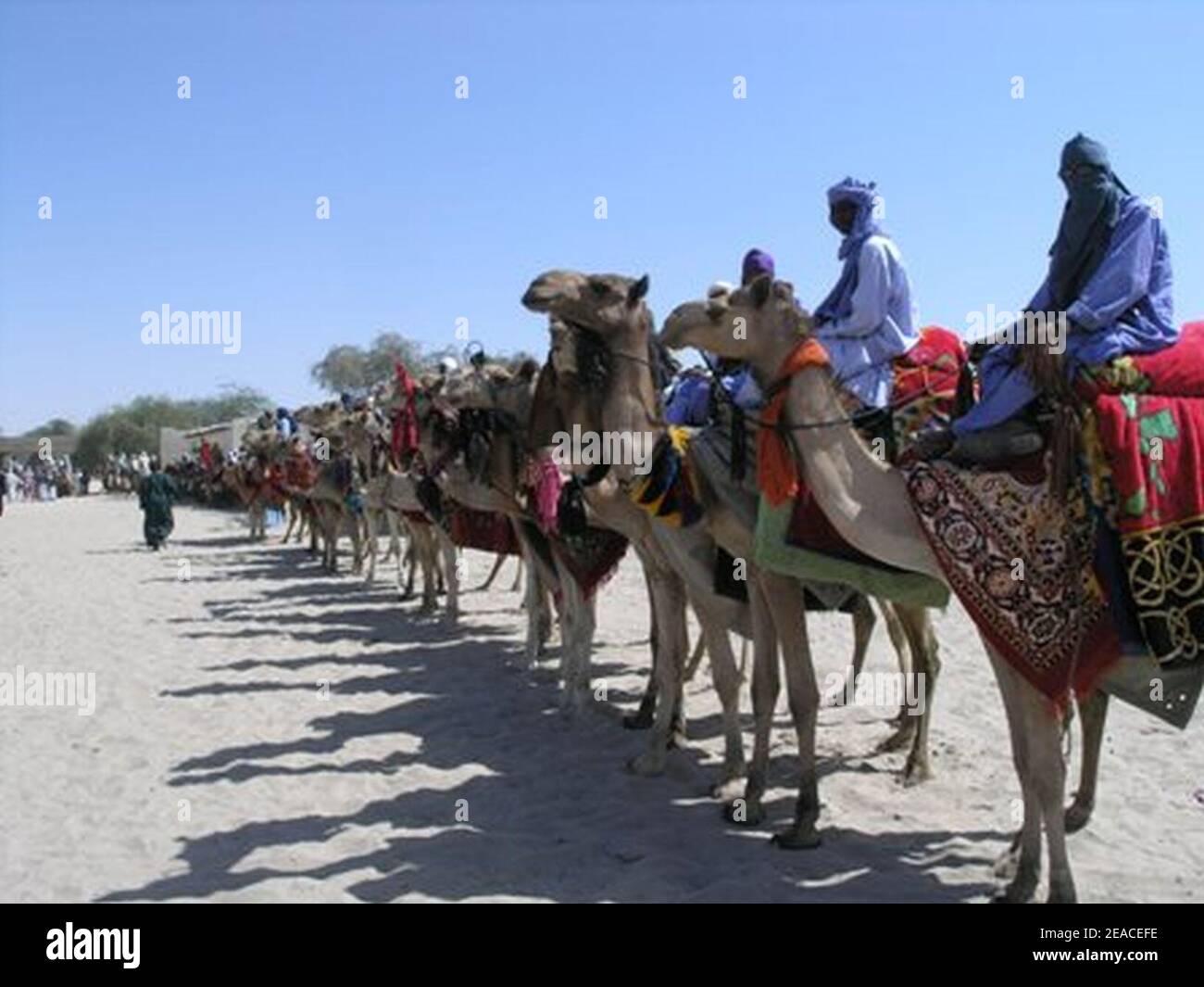 Niger camel hi-res stock photography and images - Alamy