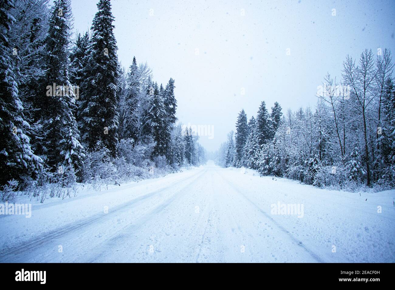 Beautiful rural snowy road hi-res stock photography and images - Alamy