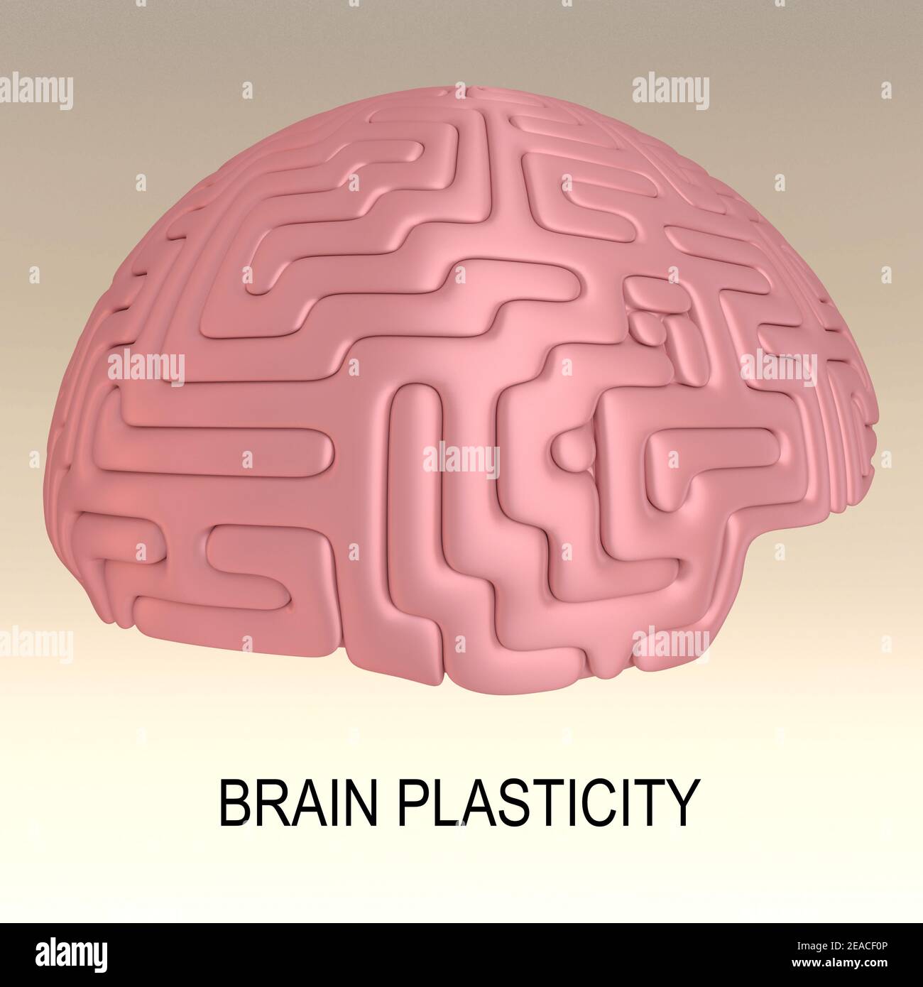 3D illustration of Brain Plasticity script under a human brain ...