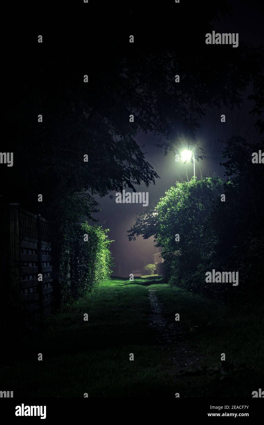 Sidewalk through trees and garden hi-res stock photography and images ...