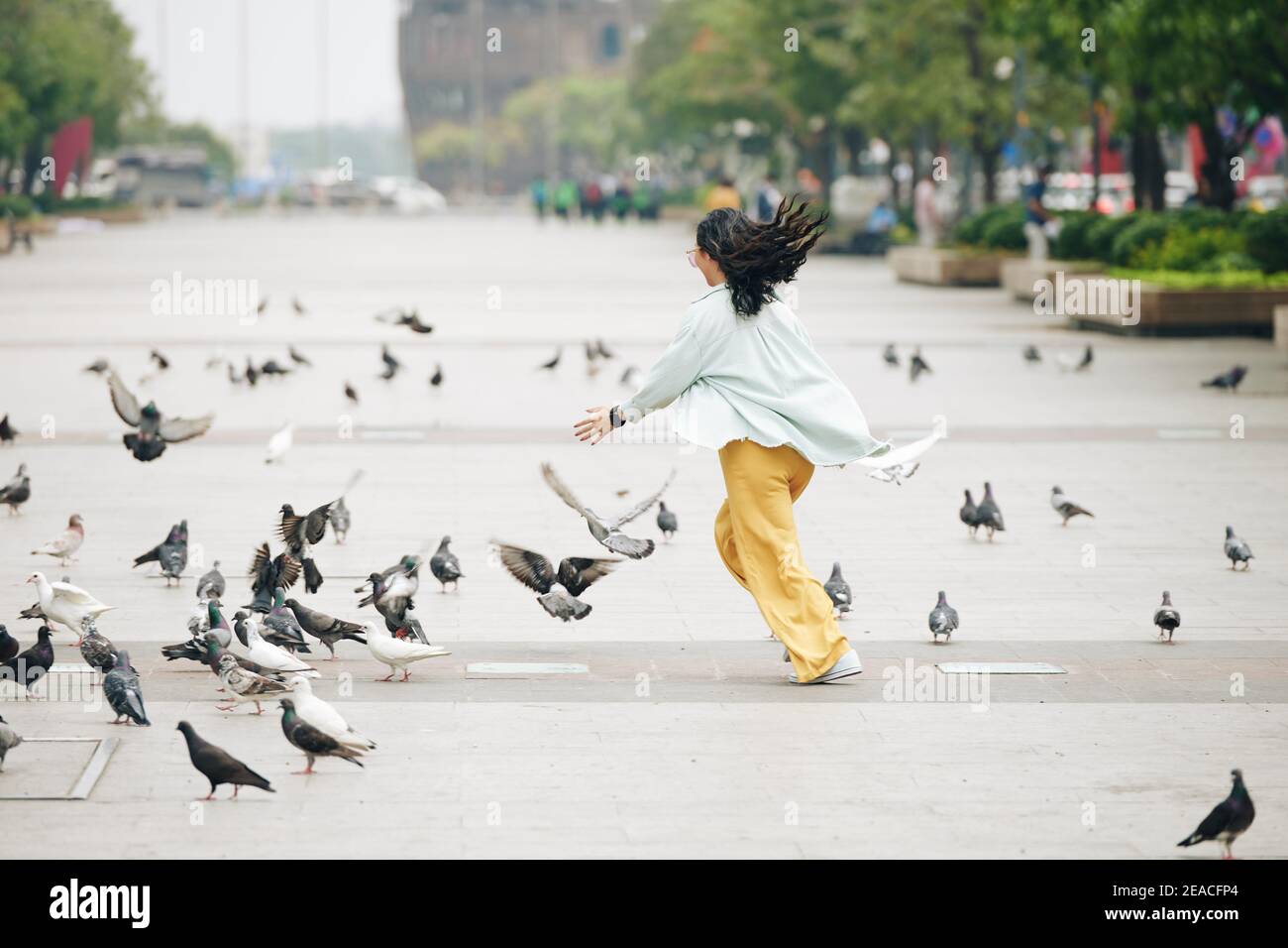 Chinese family pigeon outdoors hi-res stock photography and images - Alamy