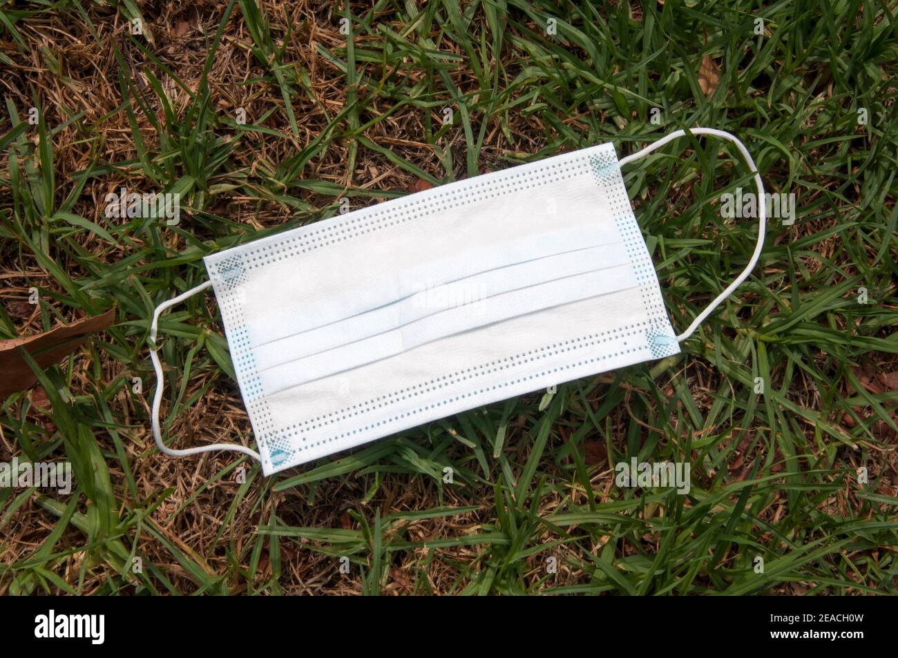 Discarded face masks feature frequently in street litter in Melbourne ...