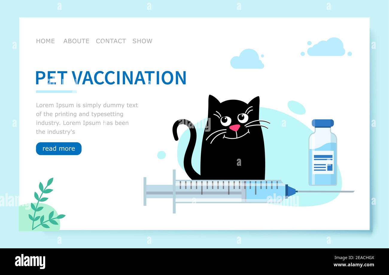 Pet vaccination. Happy cat sitting with an injection. Veterinary ...