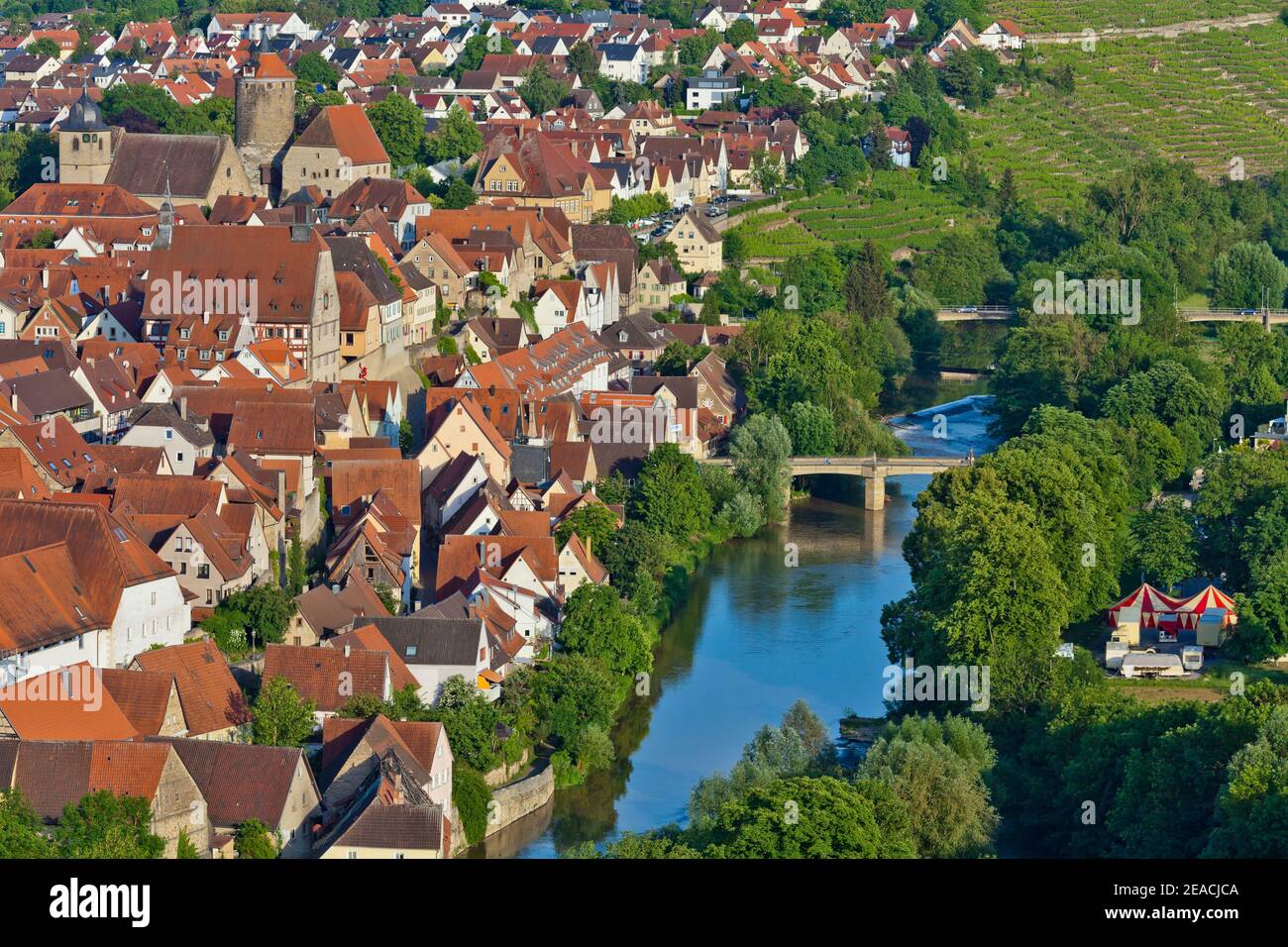 Germany, Baden-Wuerttemberg, Besigheim. View from the vineyards to the ...