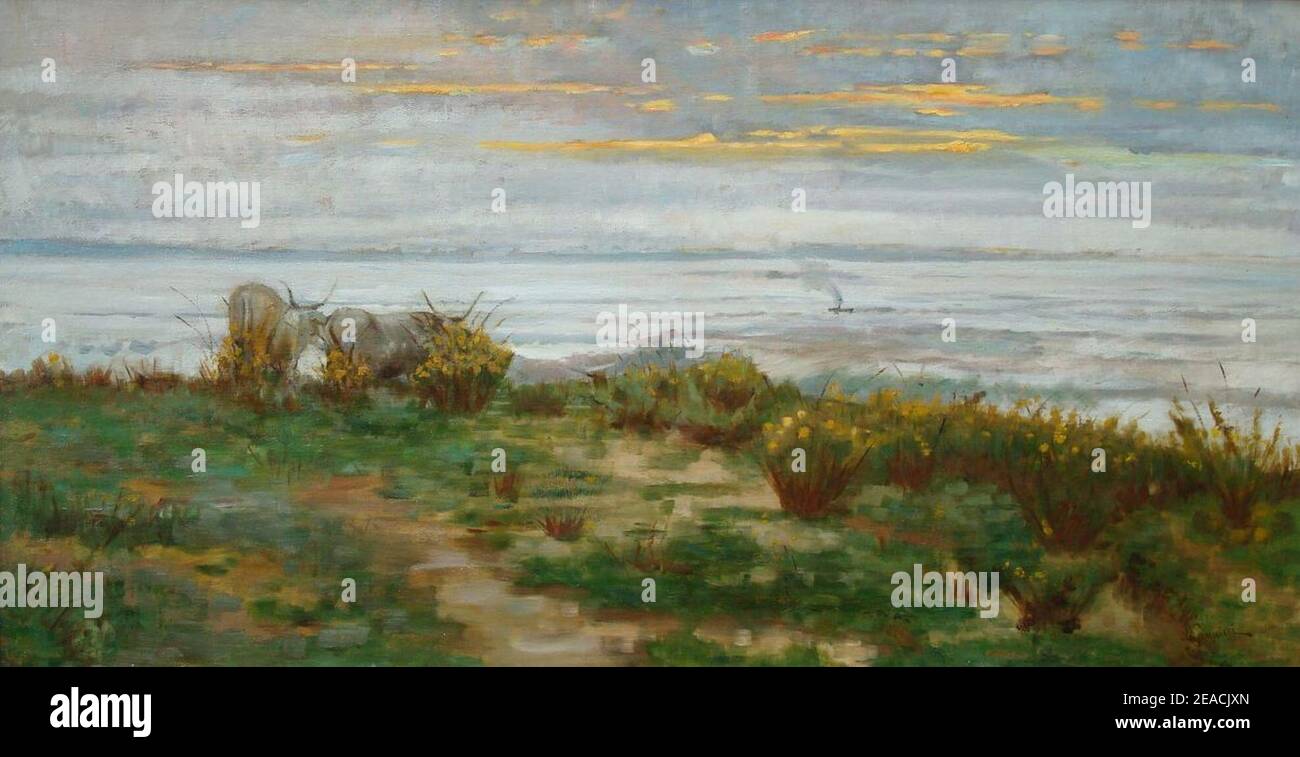 Niccolo cannicci hi-res stock photography and images - Alamy