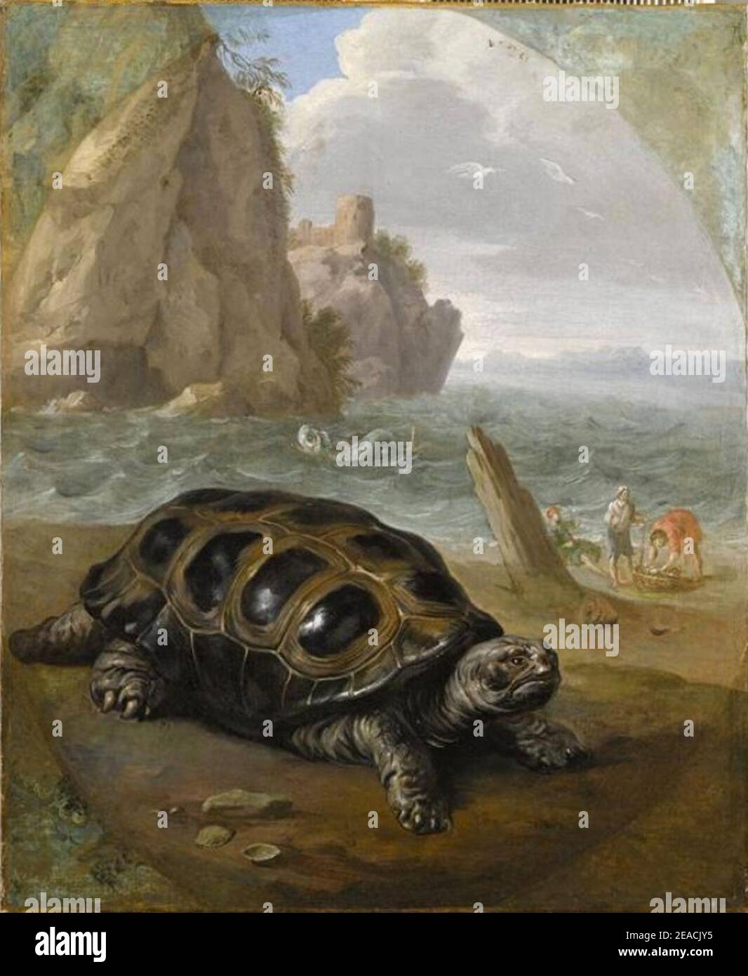 Nicasius bernaerts hi-res stock photography and images - Alamy