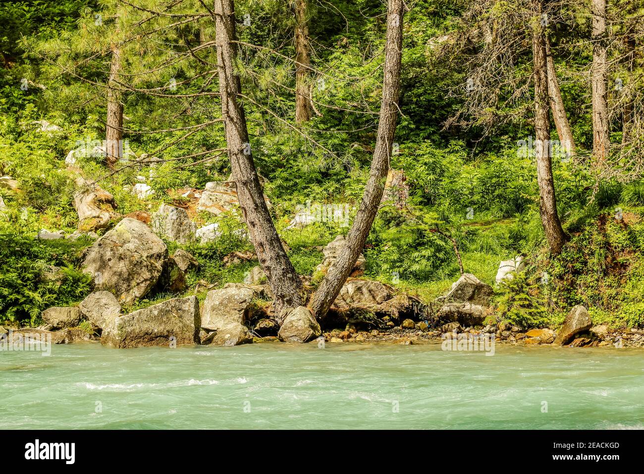 Kumrat valley pakistan hi-res stock photography and images - Alamy