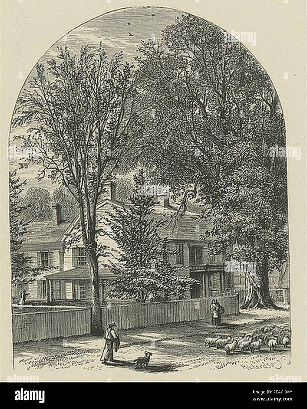 Nicholas gilman hi-res stock photography and images - Alamy