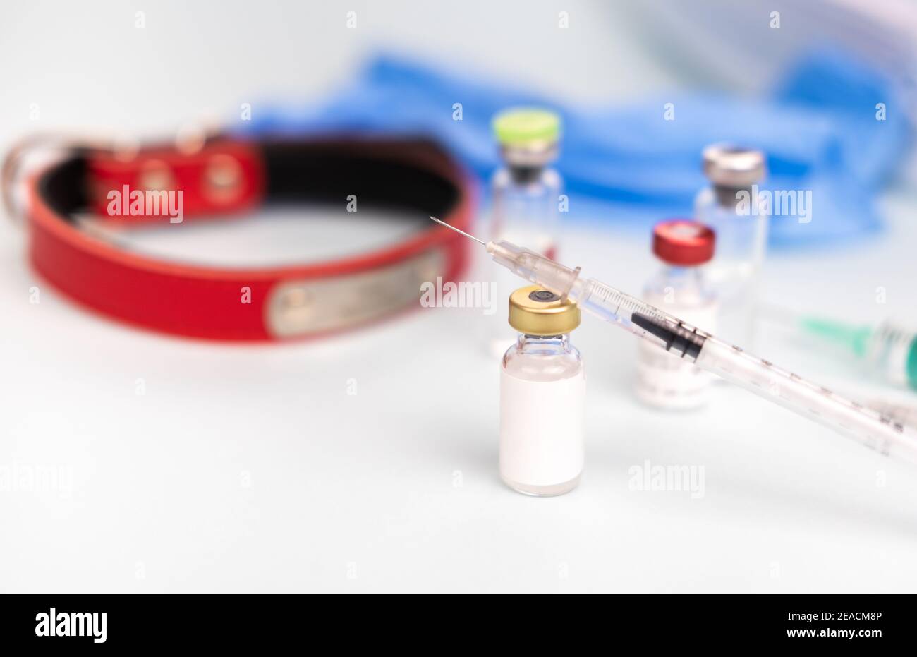 Collar with syringe and ampoule mock up on a blurred background ...