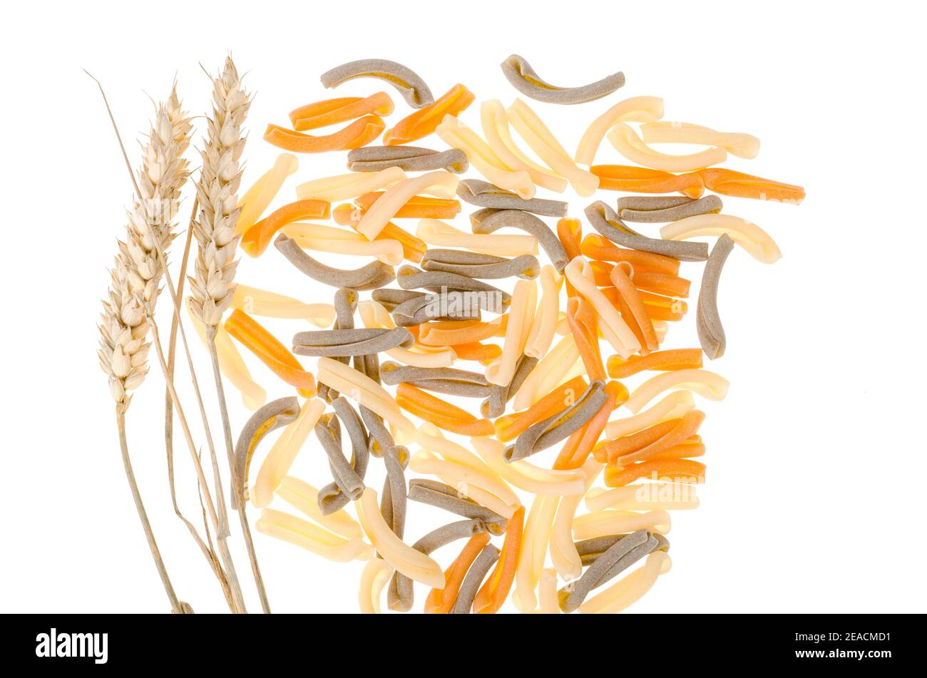 Pile of multi-colored pasta isolated on white background. Studio Photo ...