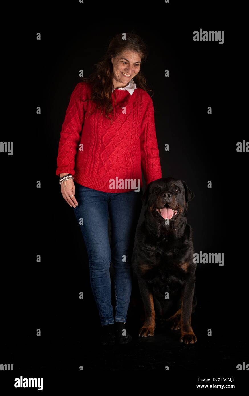 purebred rottweiler and woman in front of black background Stock Photo ...