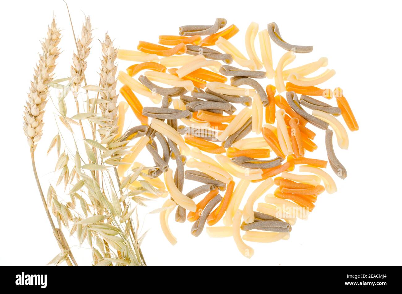 Pile of multi-colored pasta isolated on white background. Studio Photo ...