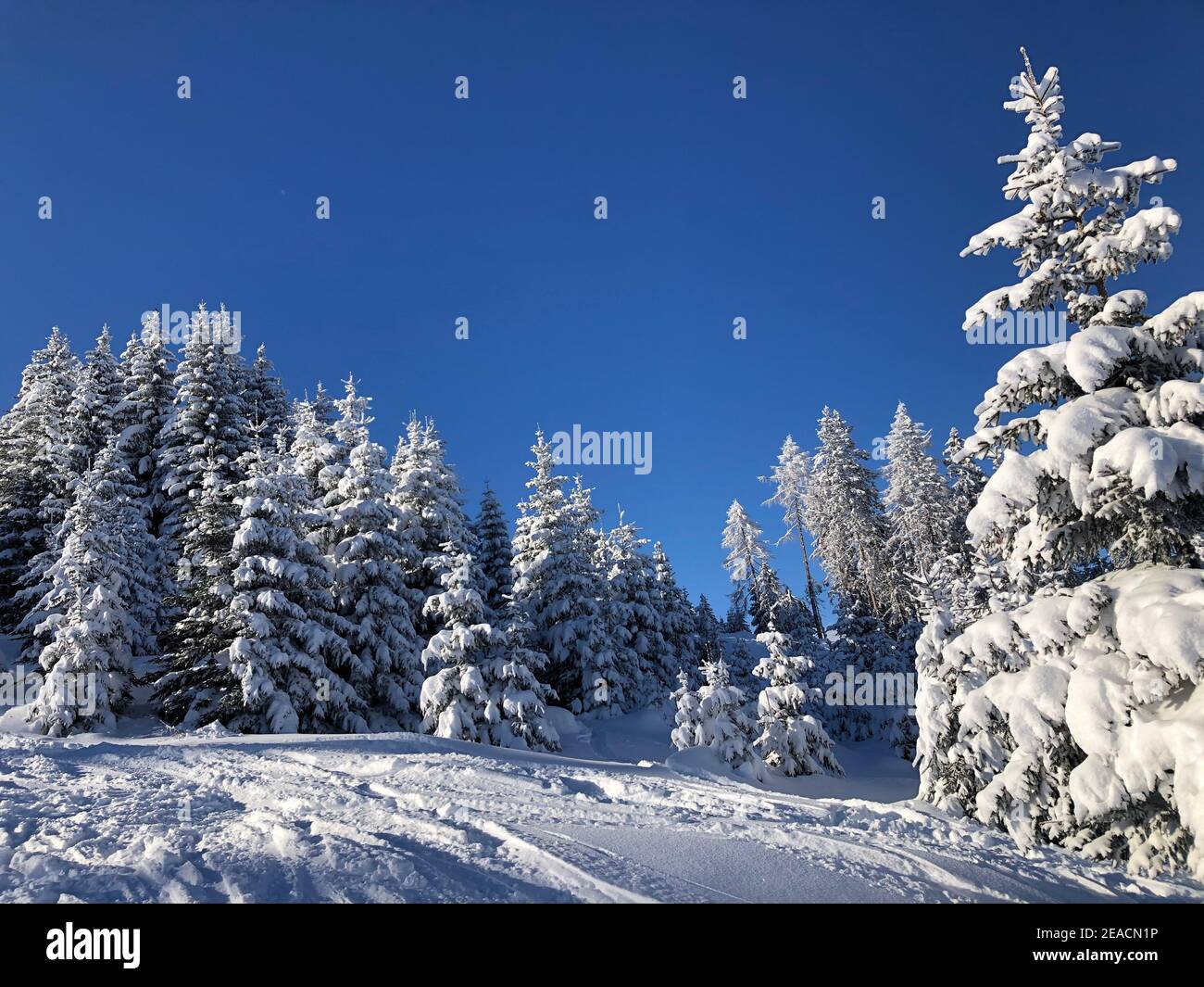 Serlesbahnen ski area hi-res stock photography and images - Alamy