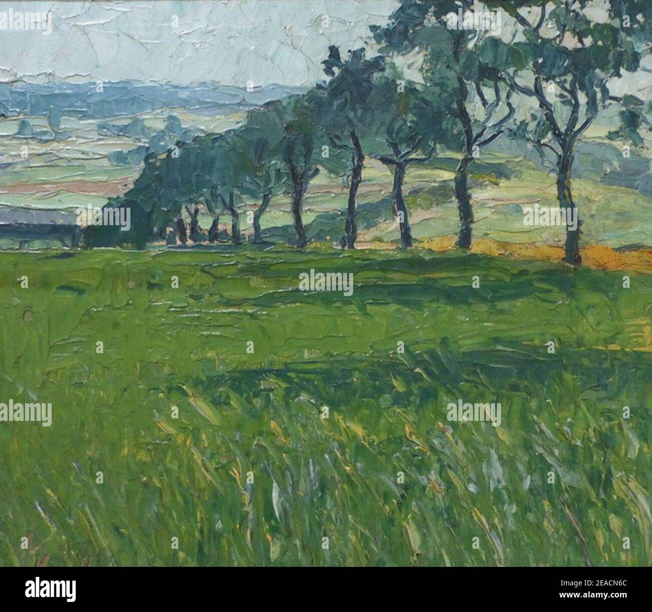 Recto verso hi-res stock photography and images - Alamy