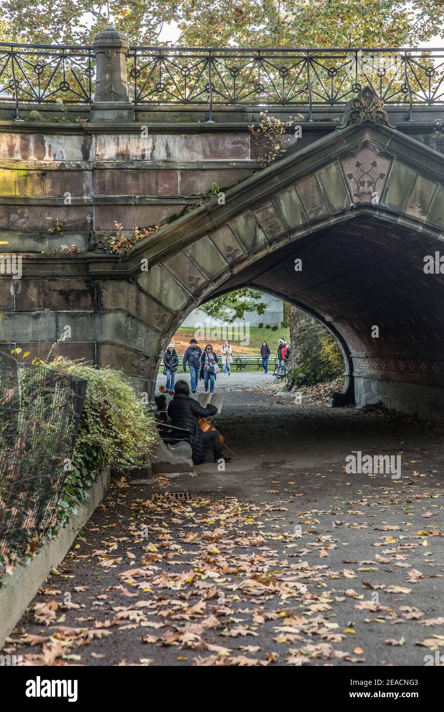 A musician plays Cello under the Greywacke Arch Stock Photo - Alamy
