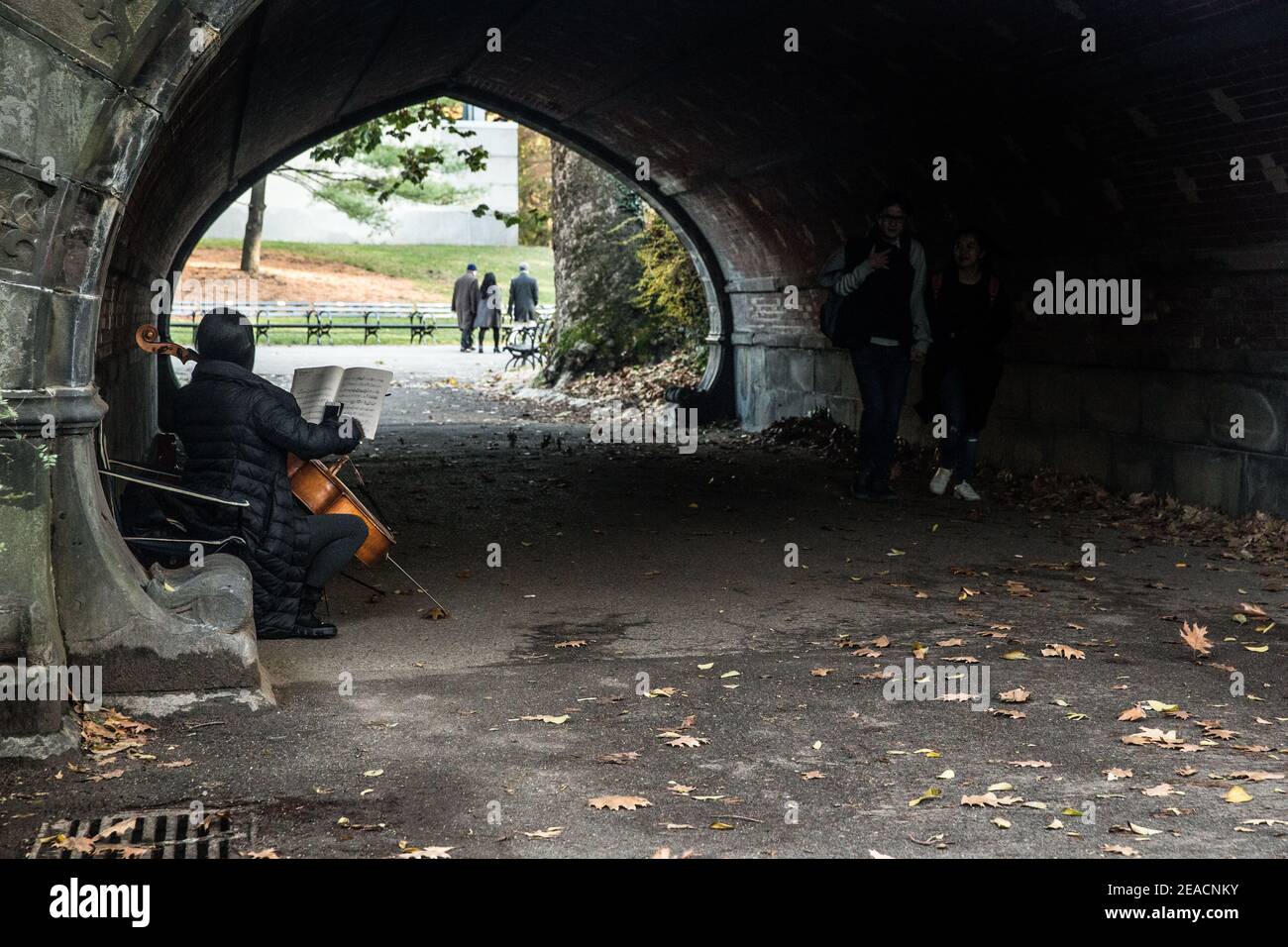 Greywacke arch cellist hi-res stock photography and images - Alamy