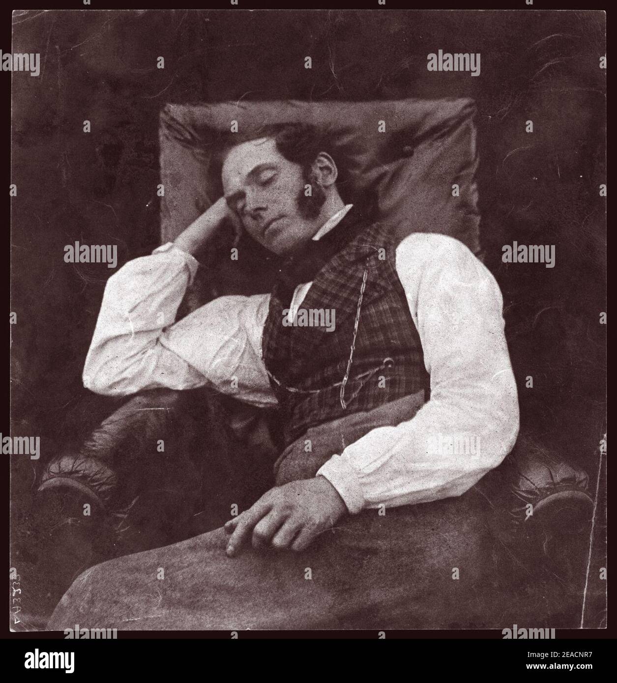 Nicolaas henneman hi-res stock photography and images - Alamy