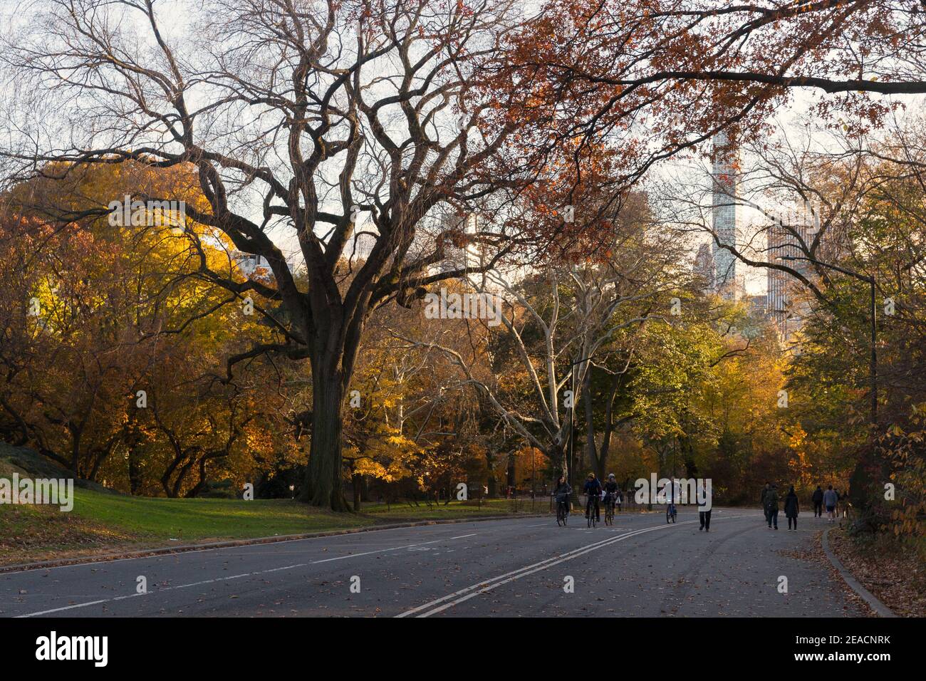 Central Park in the Fall Stock Photo - Alamy