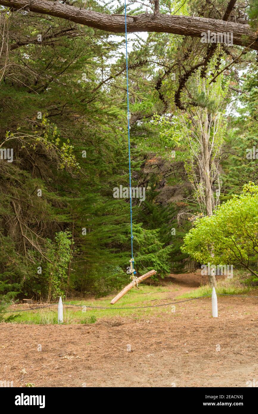 Rope swing swing hi-res stock photography and images - Alamy