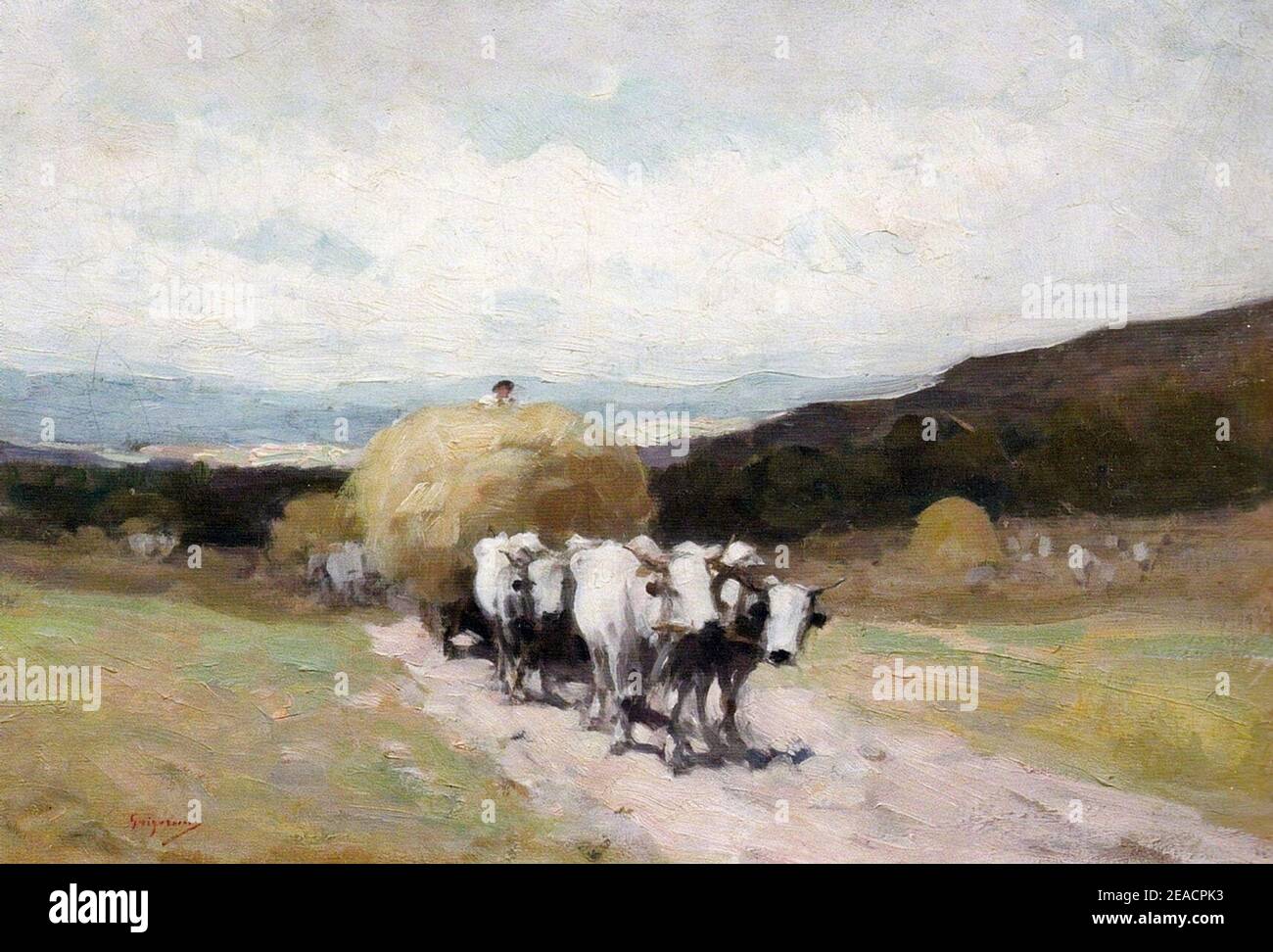 Car cu boi hi-res stock photography and images - Alamy