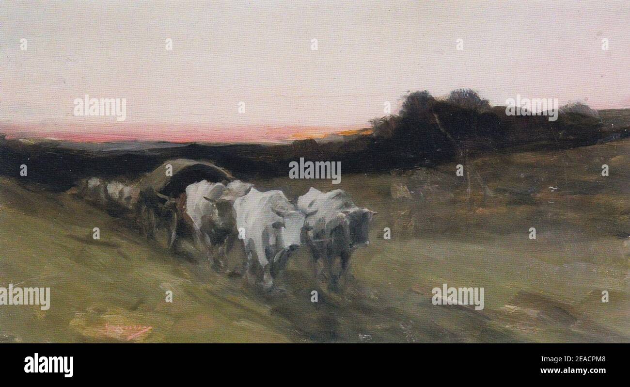 Car cu boi hi-res stock photography and images - Alamy