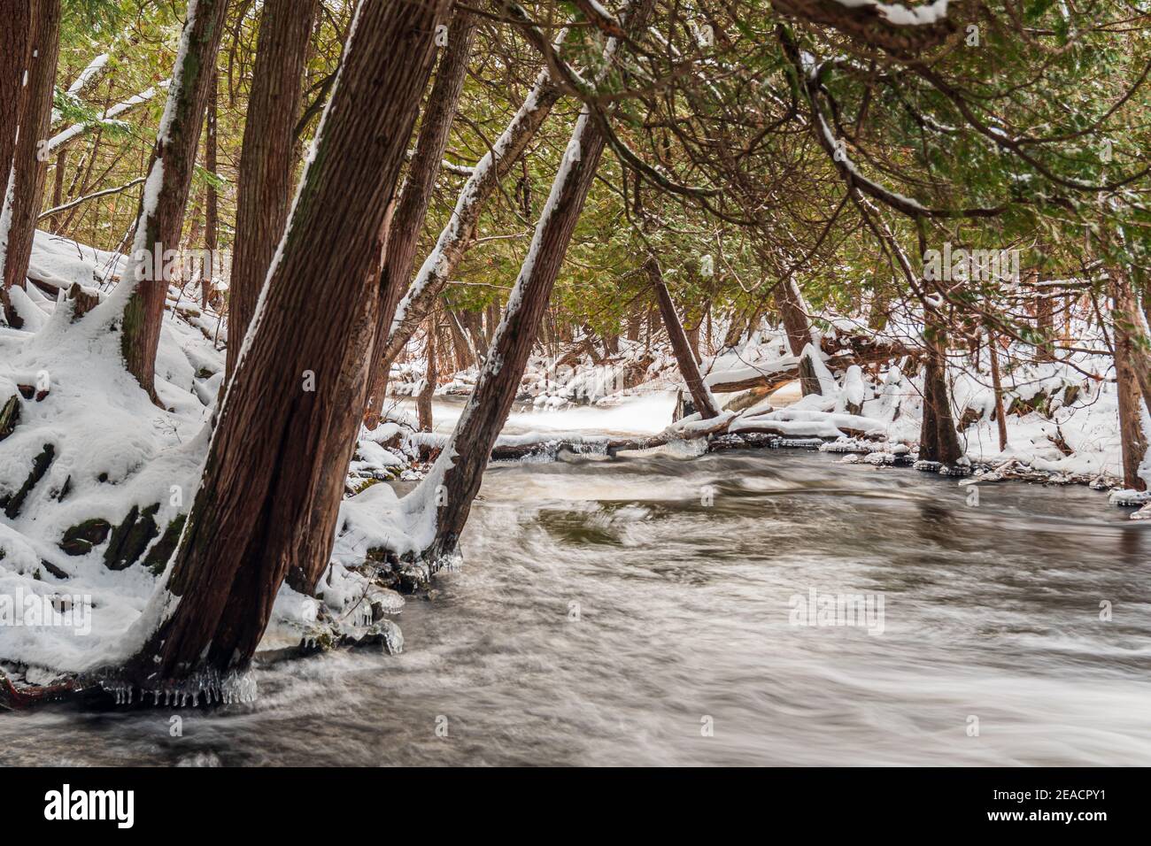 Cordova Falls Conservation Area Crowe River Cordova Lake Peterborough ...