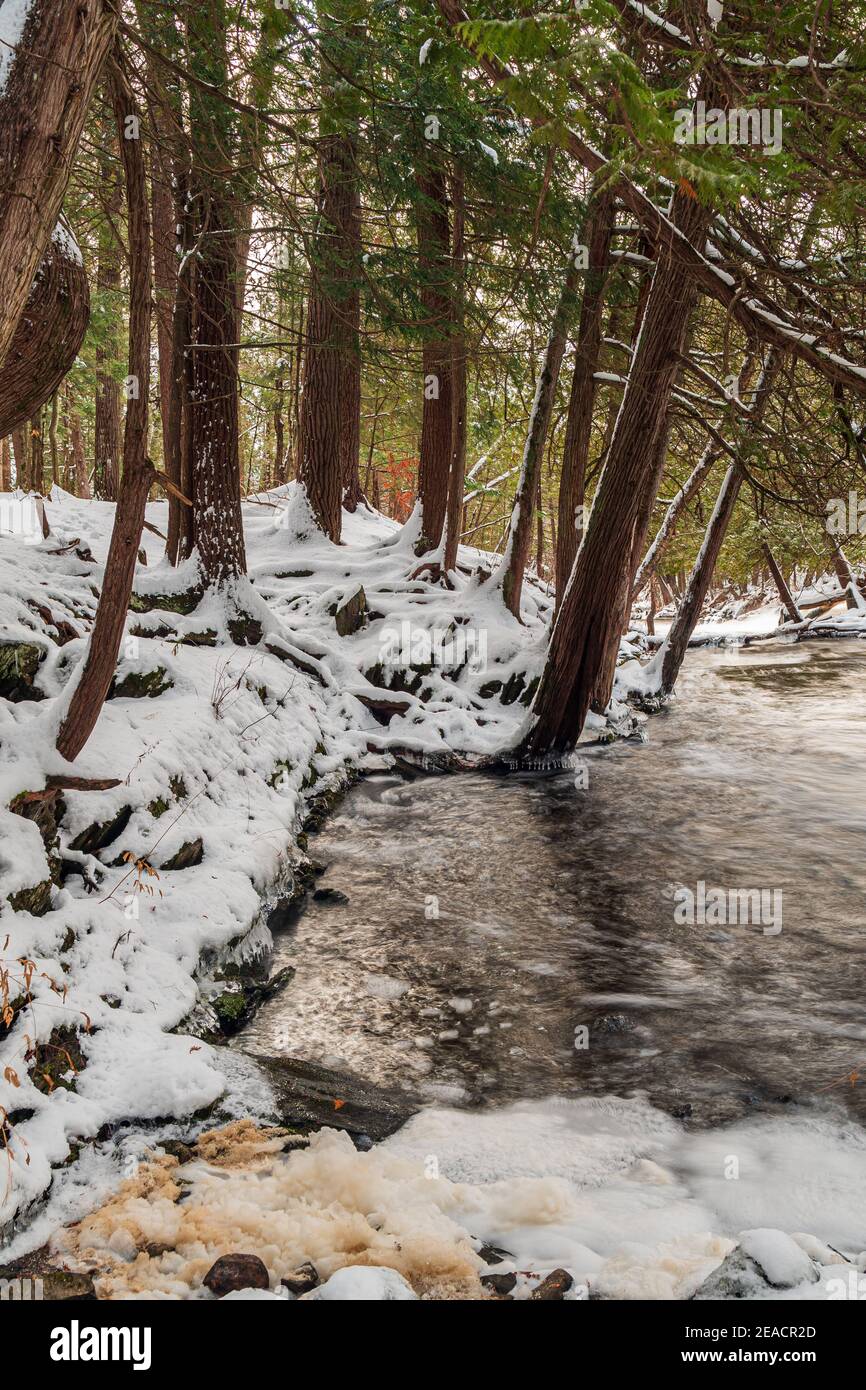Cordova Falls Conservation Area Crowe River Cordova Lake Peterborough ...