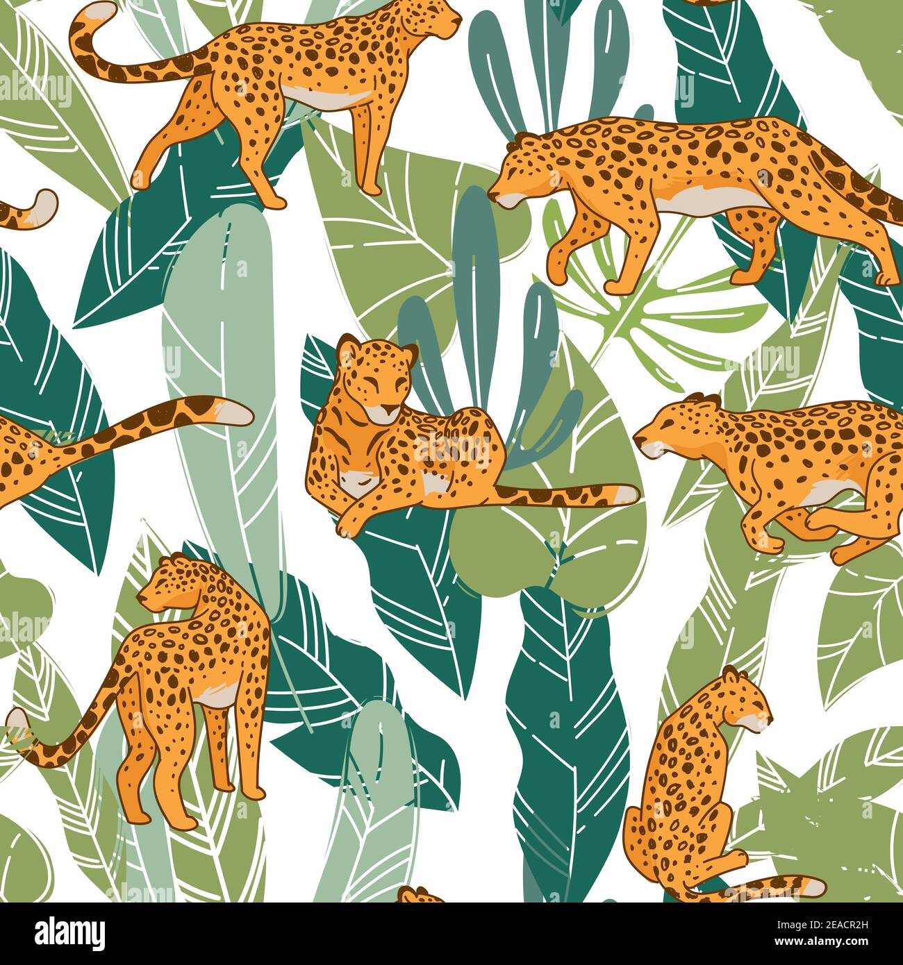 Jaguar Vs Leopard Vs Cheetah Vs Panther