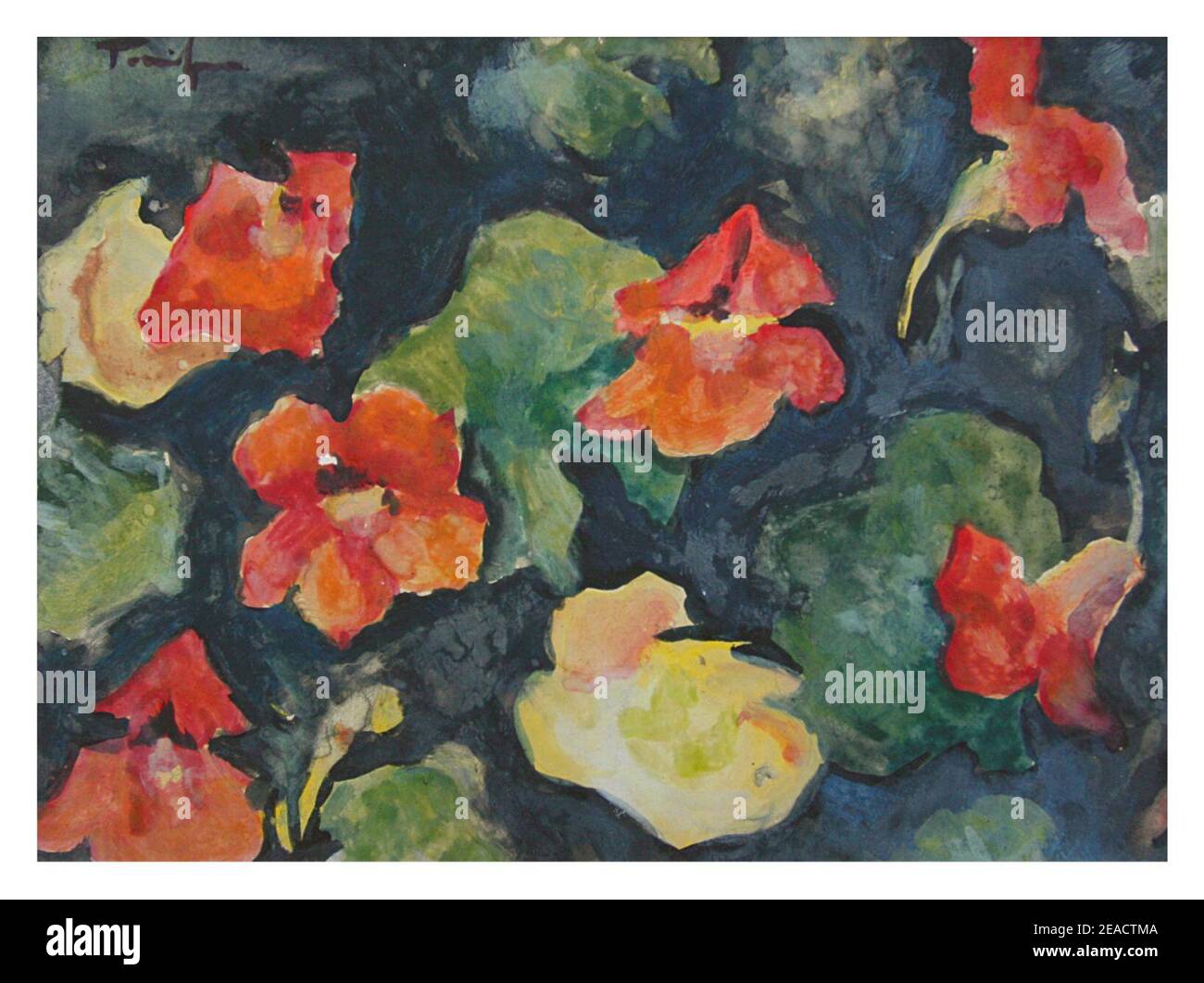 Tonitza hi-res stock photography and images - Alamy