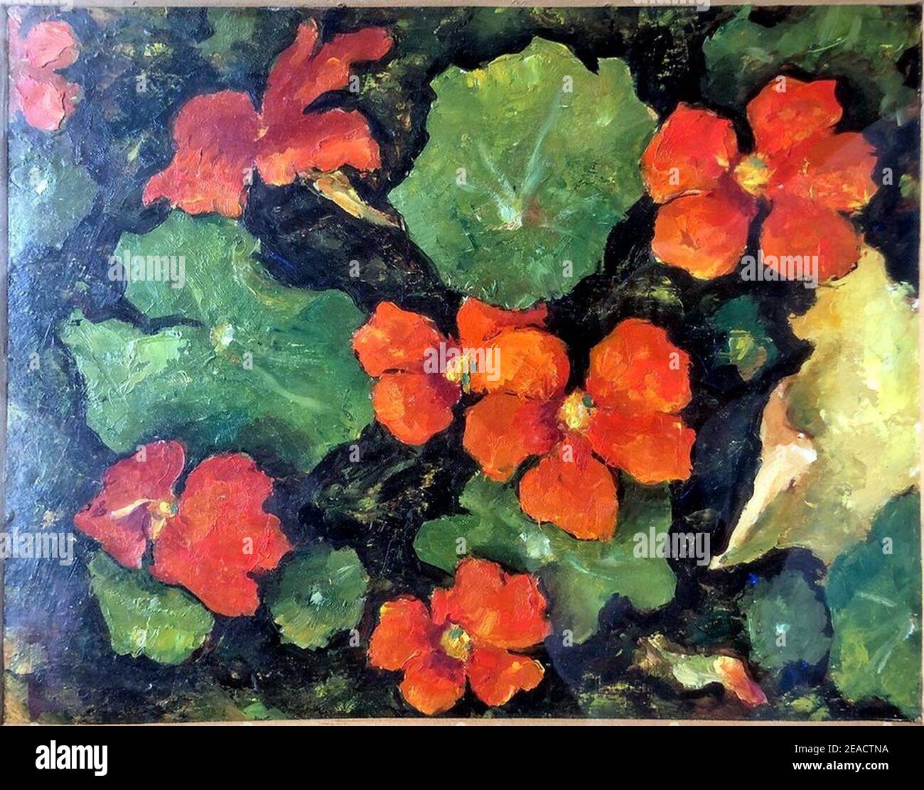 Tonitza hi-res stock photography and images - Alamy