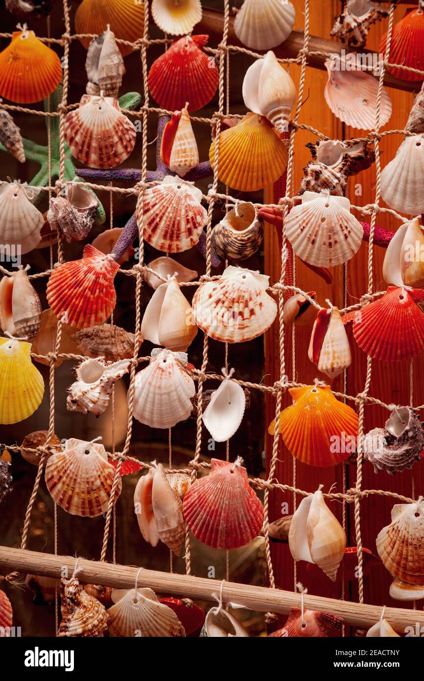 Shells, window decorations, decoration, Cefalu, Sicily, Italy Stock ...