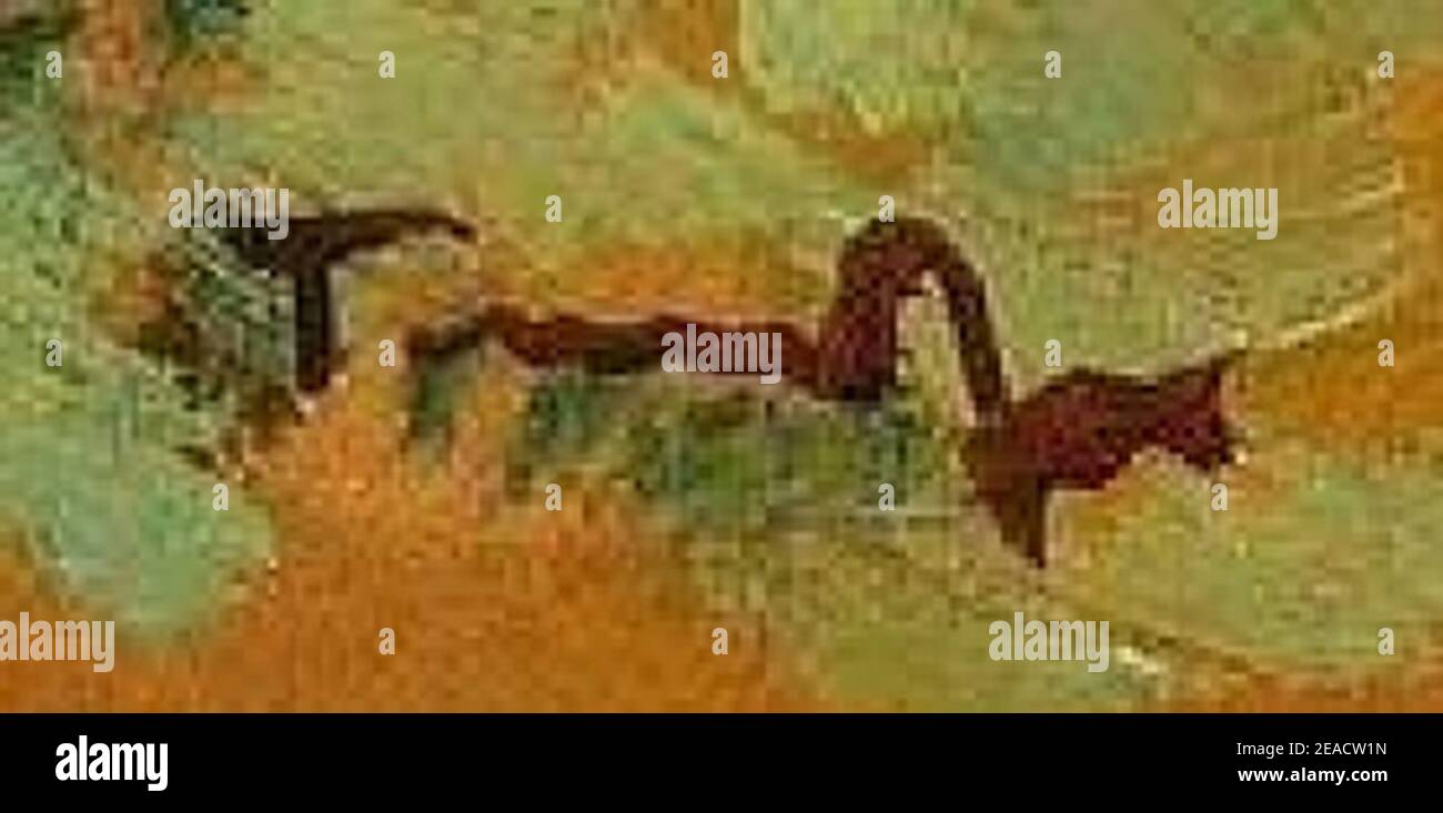 Nicolae Tonitza - Semnatura Stock Photo - Alamy