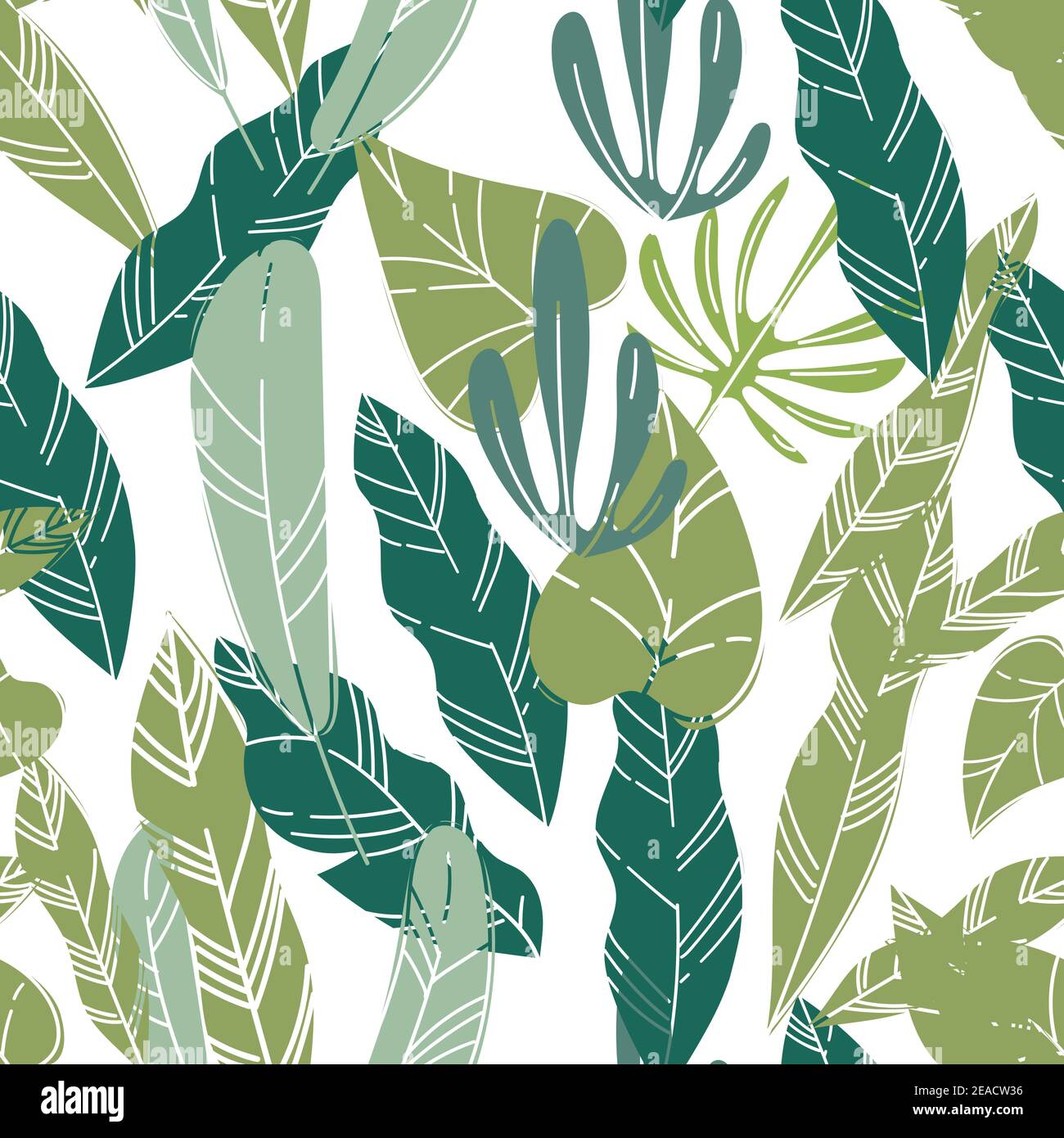 Natural flowers plants leaves Stock Vector Images - Alamy