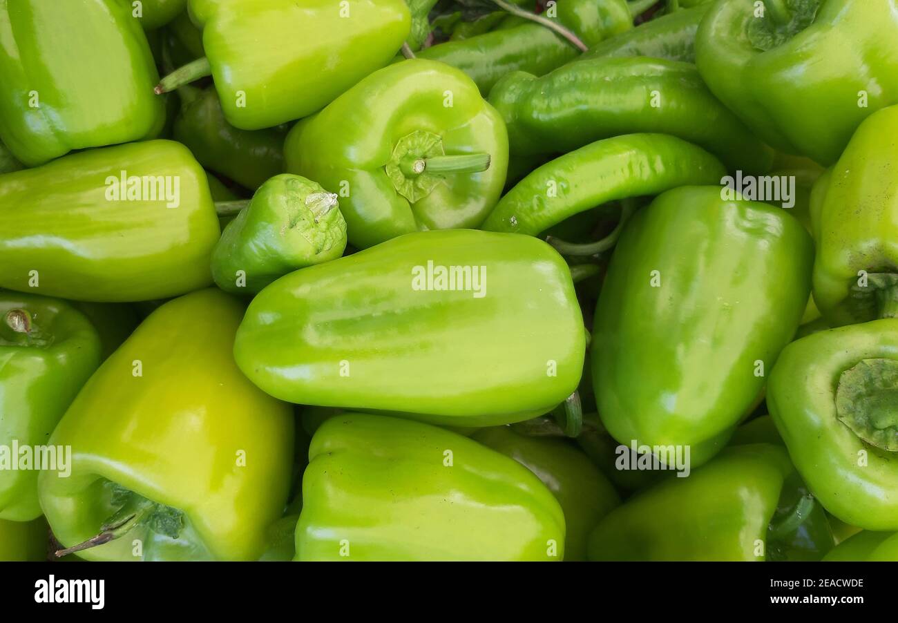 Green peppers lots! hi-res stock photography and images - Alamy