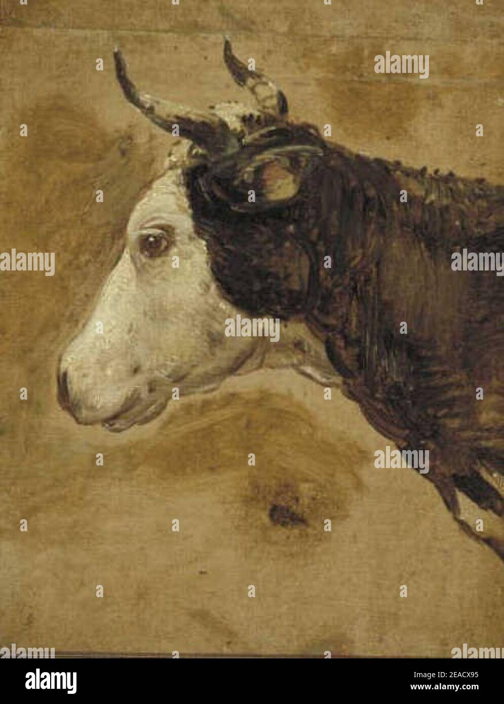 Nicolaes Pietersz. Berchem - Koeienkop Stock Photo - Alamy