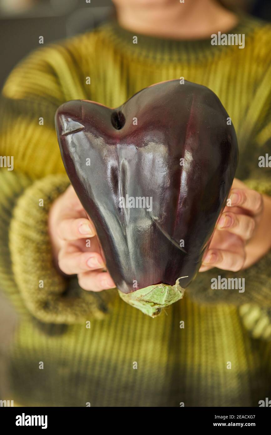 Ugly eggplant in the shape of a heart holds with two hands. Funny ...