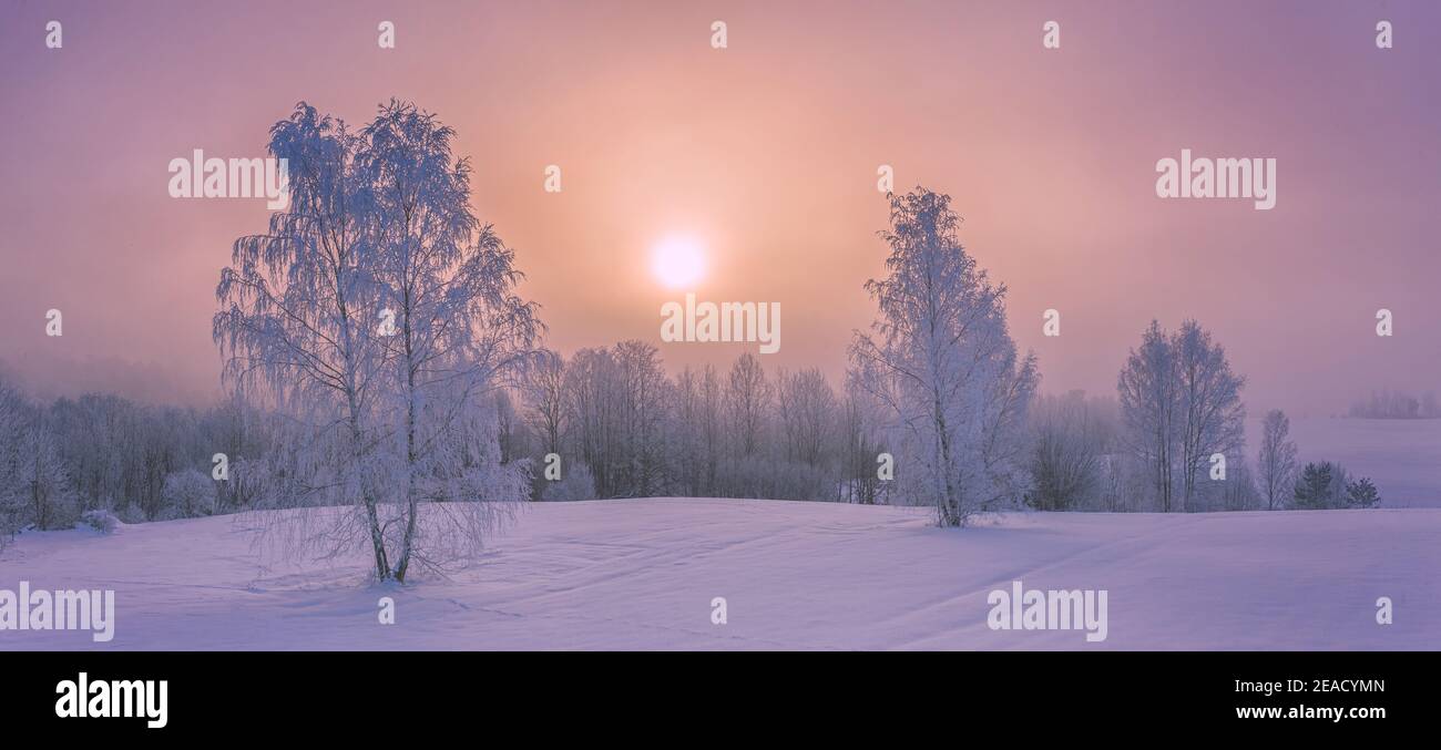 Winter landscape with fog. Warm cold sunrise landscape Stock Photo - Alamy