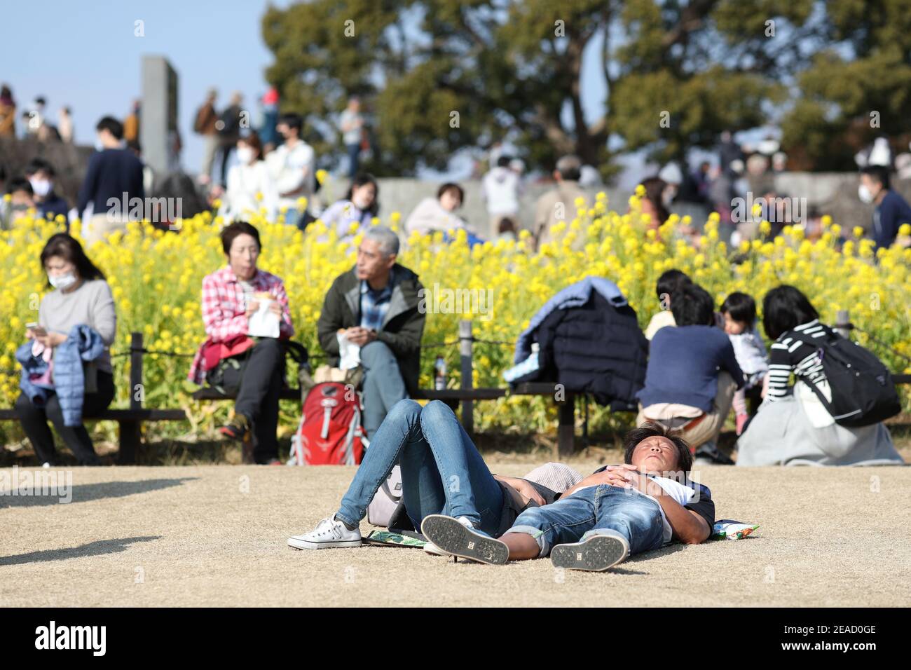 Ninomiya, Japan. 07th Feb, 2021. People wearing face mask admire ...