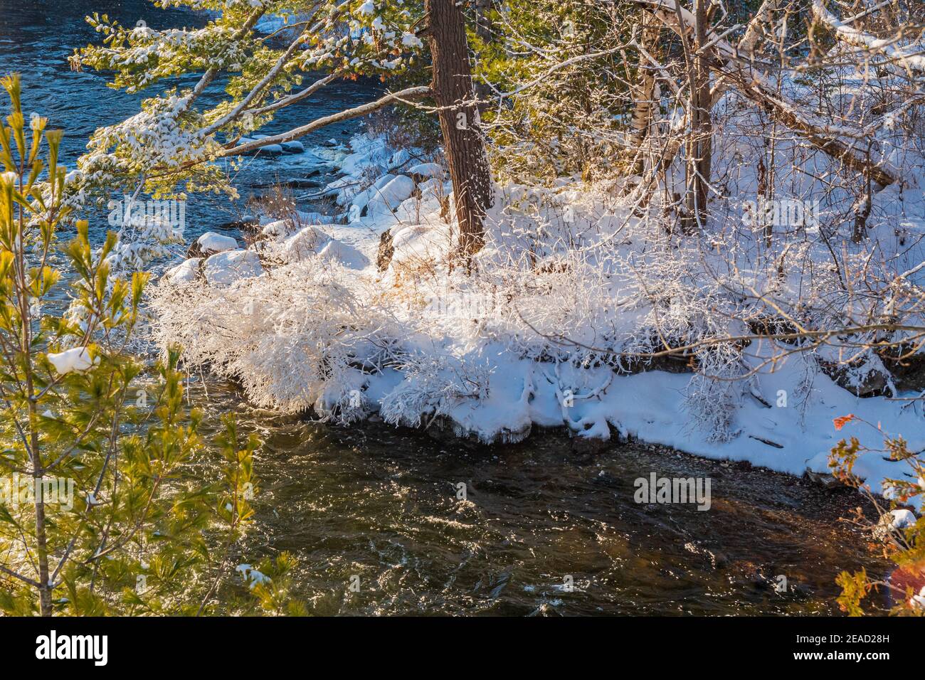 Elliot Falls Conservation Area Gull River Norland Haliburton County ...