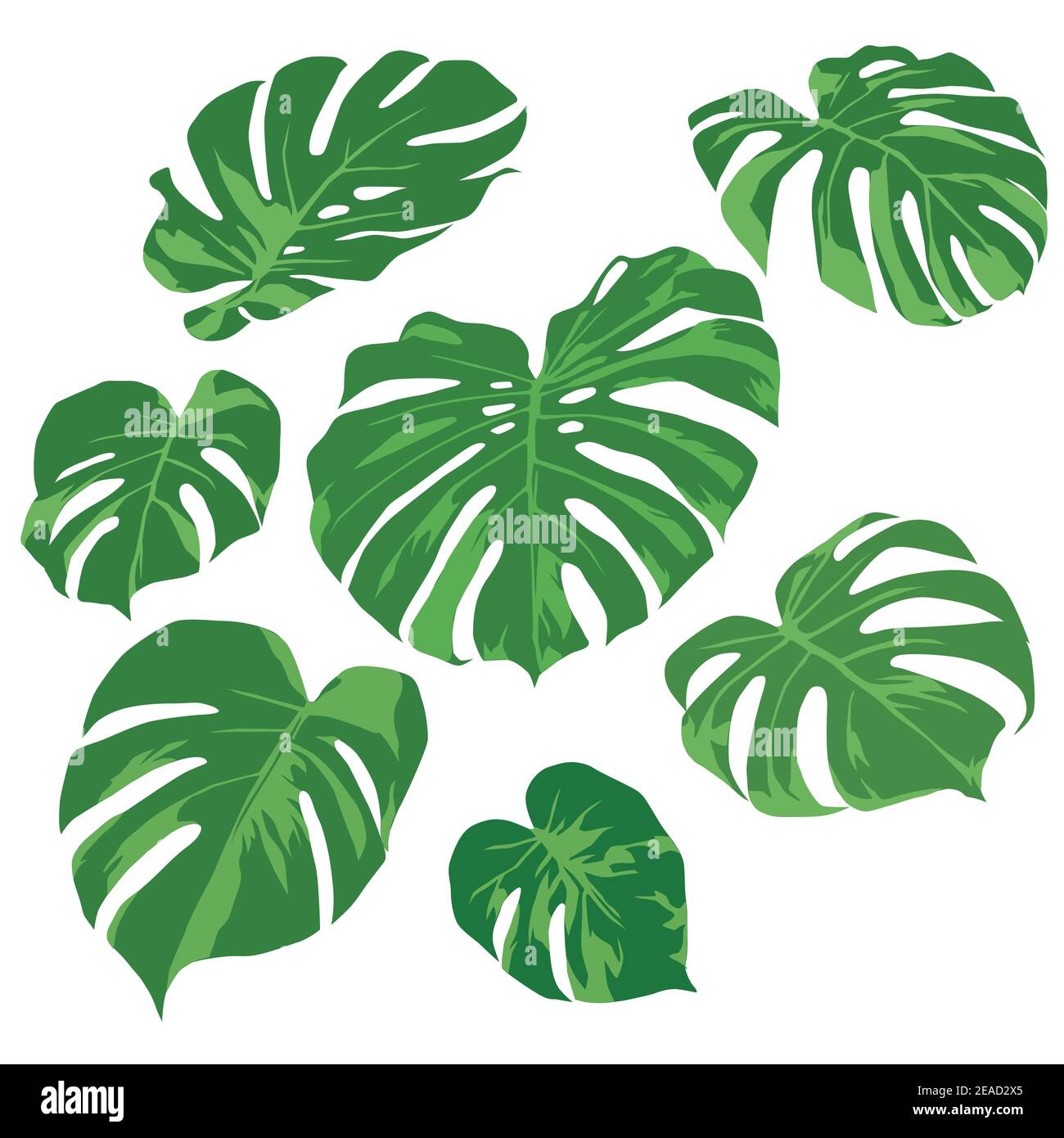 Greenery Leaves on illustration graphic vector Stock Vector Image & Art ...
