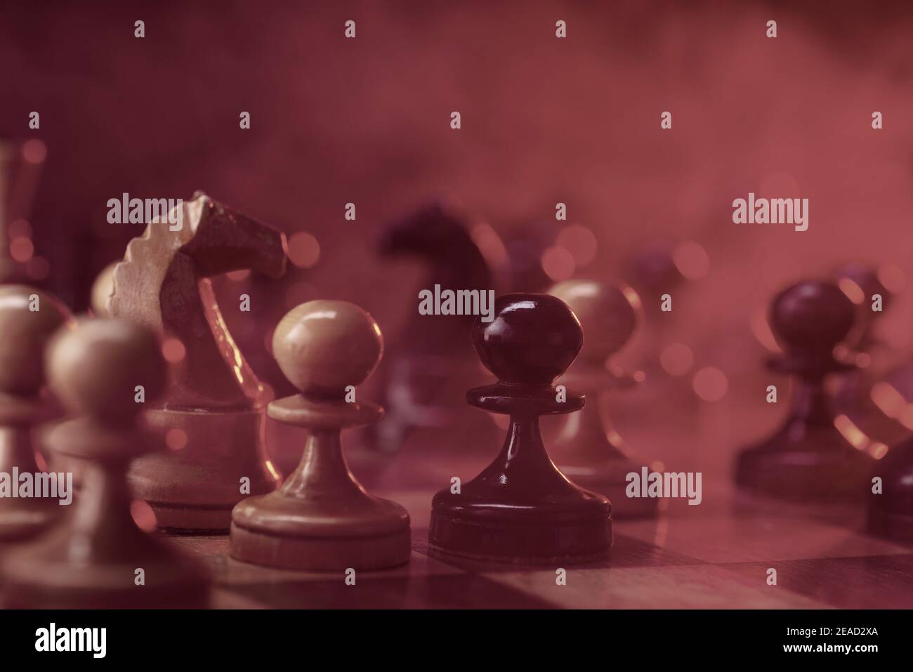 Queen on the chess board alone hi-res stock photography and images - Alamy