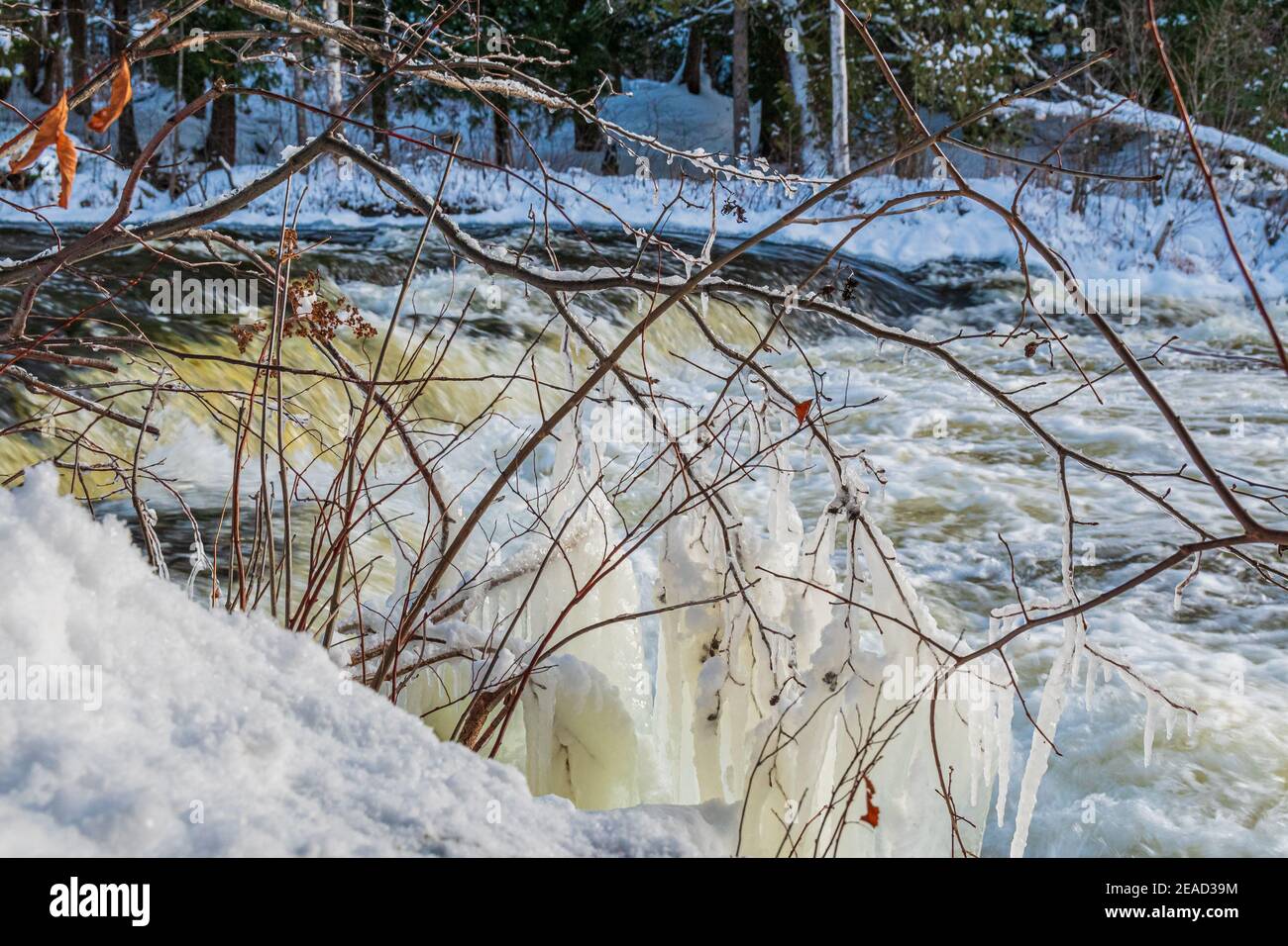 Furnace Falls Conservation Area Irondale Kinmount Ontario Canada Stock ...