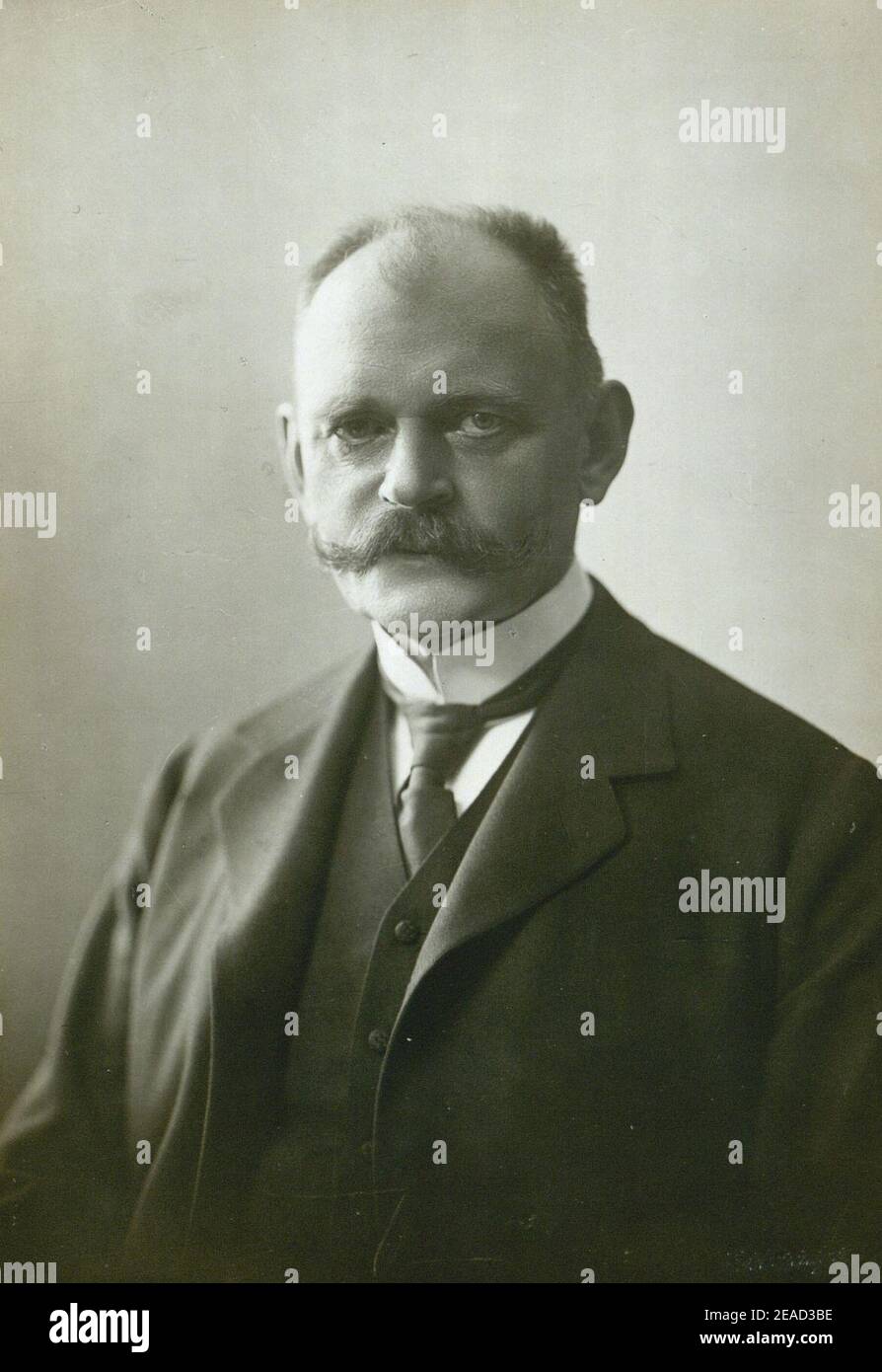 Niels Neergaard by Peter Elfelt 1908 Stock Photo - Alamy