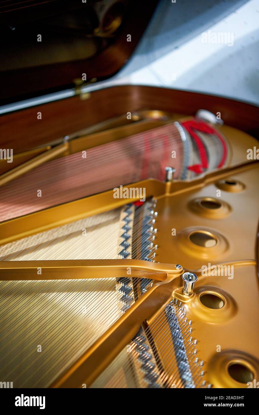 A close-up of the internal string structure of a top grand piano Stock ...