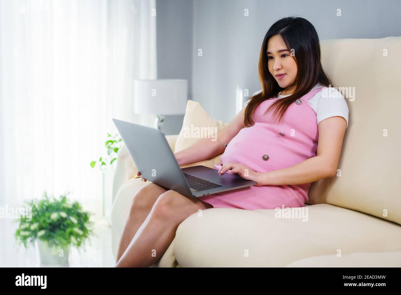 pregnant woman using laptop computer on sofa in the living room Stock ...
