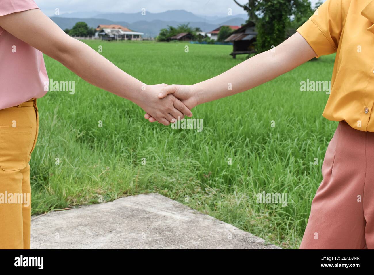 Female holding hands hi-res stock photography and images - Alamy